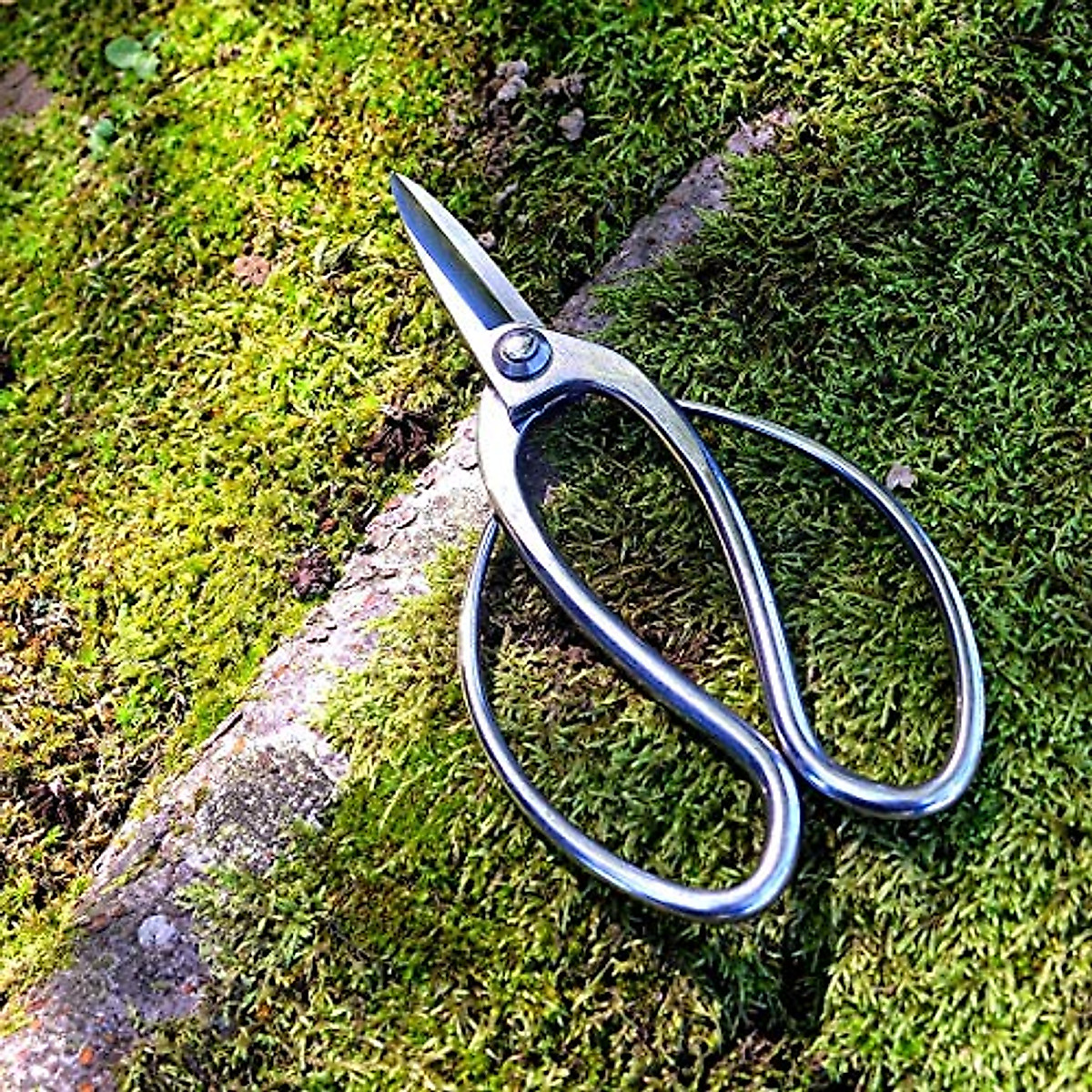 KAKURI Bonsai Trimming Scissors 7.2" (185 mm) Professional Bonsai Tool, Japanese A8 Stainless Steel, Silver, Made in JAPAN