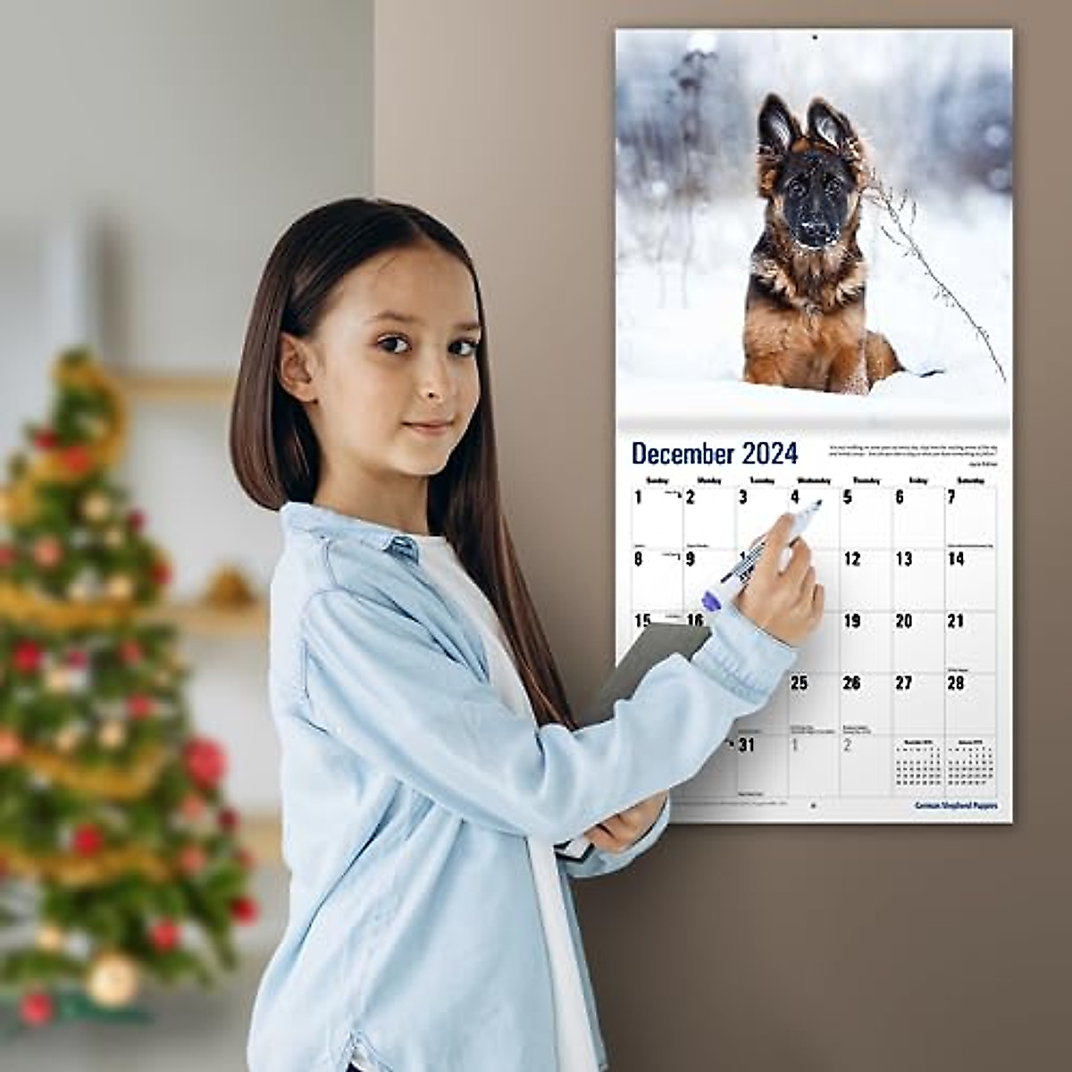 MICASA German Shepherd Puppies 2024 Wall Calendar 12 Month | 12" x 24" Open | Thick & Sturdy Paper | Giftable | Calendar 2024