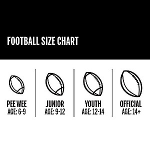 WILSON WTF1715 TDS Composite High School Game Ball Football