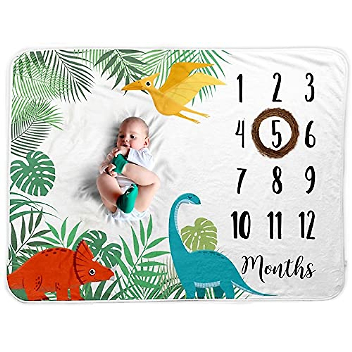 Baby Monthly Milestone Blanket | Includes Frame for The Numbers and Bonus Product | 1 to 12 Months | Premium Extra Soft Fleece | Best Photography Backdrop Prop for Newborn Boy & Girl