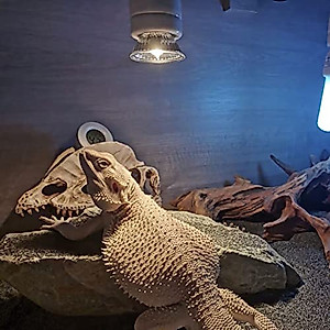 BNOSDM Reptile Terrarium Sand Lizard Substrate and Snake Bedding Clean Natural Terrarium Bedding for Bearded Dragon Lizard Gecko Scorpion Chameleon