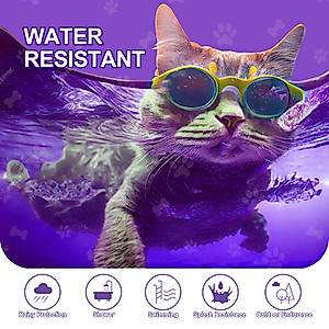 4 Pack Calming Collar for Cats, Cat Collars Efficient Relieve Reduce Anxiety Stress Collar, Cat Calming Collar Kitten Supplies Make Comfortable Relaxed, Lasting 60 Days, Grey