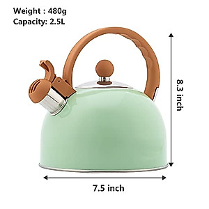 SHSYCER Tea Kettle, 2.6 Quart /2.5 Liter Stainless Steel Tea Pot, Food Grade Stovetops Tea pot Loud Whistling for Tea, Coffee, Milk etc, Gas Electric Applicable-Light Green