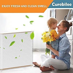 201 Replacement Filter MERV 13 Compatible with Aprilaire 2200, 2250, Space Gard 2200 Whole House Air Cleaner Purifiers and Lennox PMAC-20C (Lennox X0445), MERV-13 Air Filter, 2-Pack