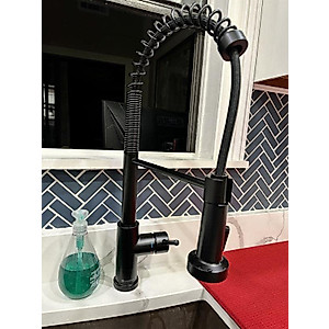Glacier Bay Paulina Single-Handle Spring Neck Pull Down Sprayer Kitchen Faucet in Matte Black
