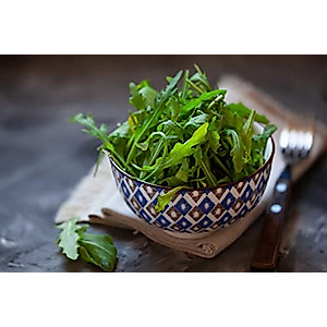 Arugula Seeds for Planting, 350 Arugula Rocket Seeds, Eat Arugula Fresh from Your Own Garden, High Germination, Heirloom Vegetable Varieties, Non-GMO