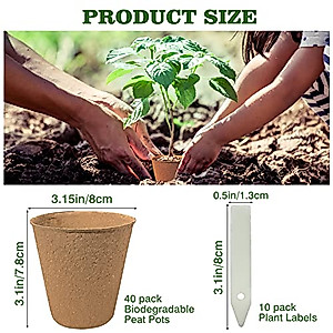 40Pcs 3.15 Inch Peat Pots, Biodegradable Eco-Friendly Round Plant Seedling Starters Kit, Seed Germination Trays with 10 Plant Labels for Flower Vegetable Tomato Saplings & Herb Seed Germination
