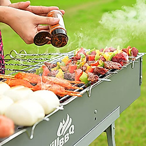 WILLBBQ Commercial Quality Portable Charcoal Grills Multiple Size Hibachi BBQ Lamb Skewer Folded Camping Barbecue Grill for Garden Backyard Party Picnic Travel Home Outdoor Cooking Use (11.9x7.1x5.1inch)