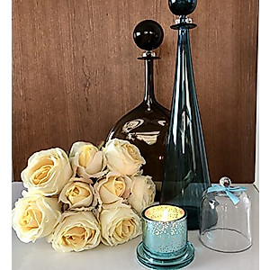 Cruiser’s Caché | Parfumerie Collection | Sri Lankan Lemongrass | Scented Cloche or Dome Candle Jar | 4.2oz | 25hr Burn Time