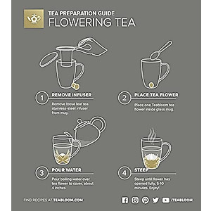 Teabloom Double-Wall Borosilicate Glass Mug with Stainless Steel Infuser and Lid – 15 OZ / 430 ML – 2 Gourmet Tea Flowers Included