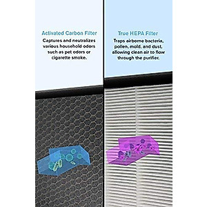 Merchandise Mecca Replacement 2 HEPA Air Filters and 8 Carbon Pre-Filters Compatible with Fellowes AeraMax 200 Purifier Model 190/200/DB55/DX55. Compared to Part 9287101
