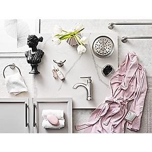 Moen Halle One-Handle Single Hole Bathroom Sink Faucet with Optional Deckplate, Spot Resist Brushed Nickel, 84970SRN