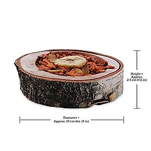 Living World Green Snack Bowl, 2-in-1 Snack Feeder and Chew Toy for Small Animals, Fruit Medley