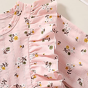 Toddler Girl Dress Fall Winter Clothing Kids Long Sleeve Ruffle Skirt Outfits Floral Dresses (Pink, 2-3T)