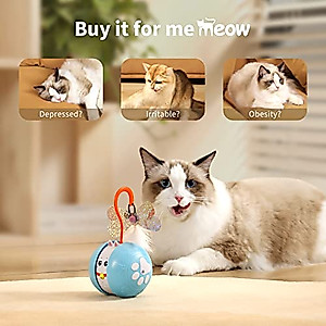 Vepnanline Cat Toys for Indoor Cats Automatic Interactive Cat Laser Toy Rechargeable Cat Ball Toys with Feathers(Blue)