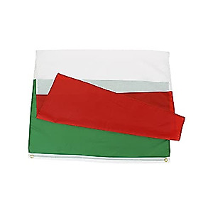 ANJOR Italy Flag 3x5 Foot Italian National Flags Polyester with Brass Grommets 3 X 5 Ft