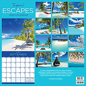 TF PUBLISHING 2024 Tropical Escapes Wall Calendar | Large Grids for Appointments and Scheduling | Vertical Monthly Wall Calendar 2024 | Home and Office Organization | Premium Gloss Paper | 12"x12”
