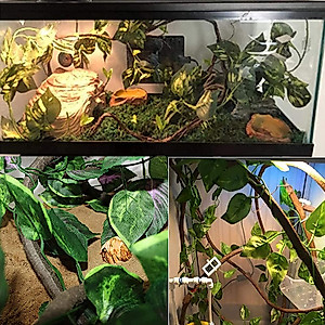 Hamiledyi Crested Gecko Coco Hut Natural Reptile Coconut Hideouts Lizard Water Food Bowls Climbing Porch Hiding Sleeping Breeding Pad Jungle Vine Flexible Reptile Leaves for Bearded Dragon 6PCS