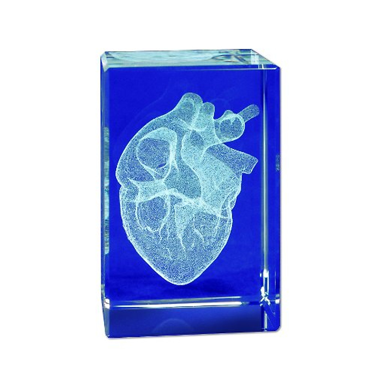 3B Scientific MAG13G Medart Glass Block Heart Model, 2" Length x 2" Width x 3.1" Height