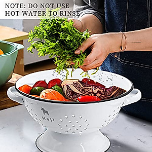 Enamel Fruit Bowl Basket for Kitchen Counters Decorative Fruit Bowl Home Table Decor, Applicable to Farmhouse Decor, Holiday Decoration (Pony)