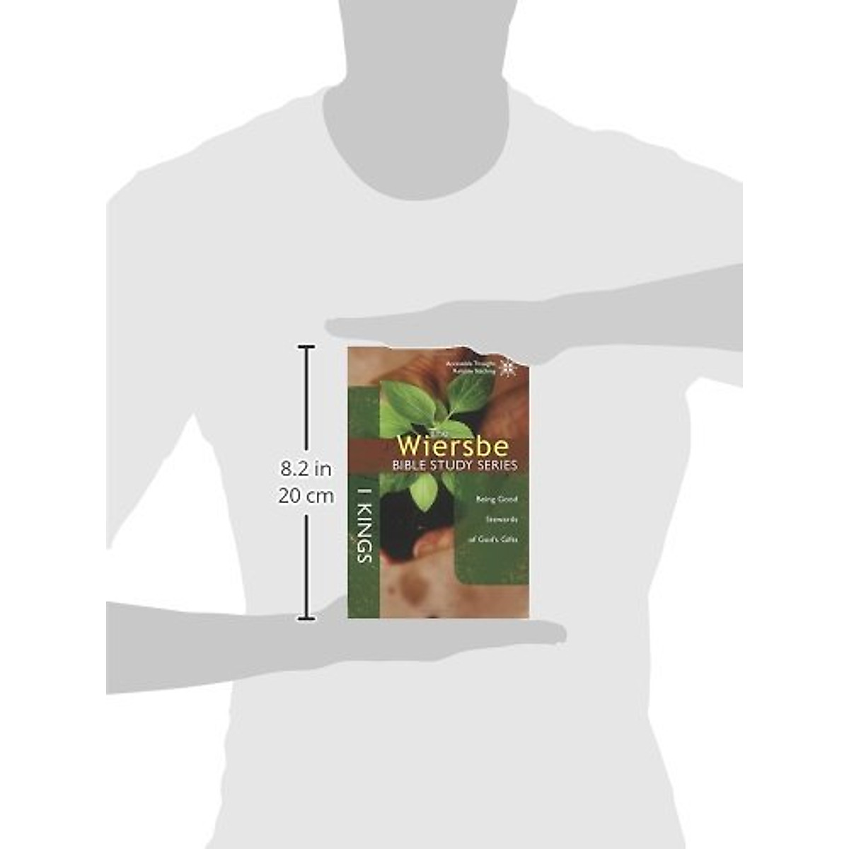 The Wiersbe Bible Study Series: 1 Kings: Being Good Stewards of God's Gifts