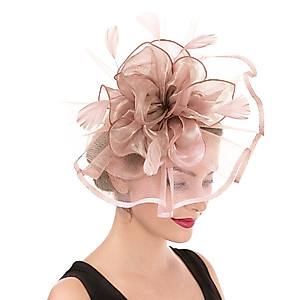 Fascinator Women's Organza Church Kentucky Derby British Bridal Tea Party Wedding Hat Summer Ruffle Hat(Hj2-Pink)