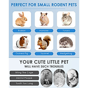 Bissap 36PCS Bunny Chew Sticks, Mixed Natural Timothy Hay Carrot Purple Potato Flowers Rabbit Treats for Bunny Chinchilla Guinea Pig Hamster and Other Small Animals Molar Snack Toy