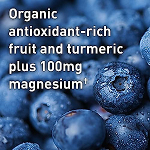 Garden of Life Sport Vegan Organic Plant Based Post Workout Muscle Recovery Powder for Men & Women - BlackBerry Lemonade 30 Servings, 100mg Magnesium, Antioxidants, Supplements, 15.7 Oz