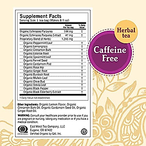 Yogi Tea - Echinacea Immune Support (6 Pack) - Supports Immune Function with Elderberry and Mullein - Caffeine Free - 96 Organic Herbal Tea Bags