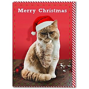 Brainbox Candy - Rude Christmas Card - 'Merry Christmas Cat Finger' - Cheeky Xmas Cards - Funny Seasonal Humour Cards - Rude Cat Themed Christmas Card - Cheeky Cat Xmas Card - For Cat Lovers