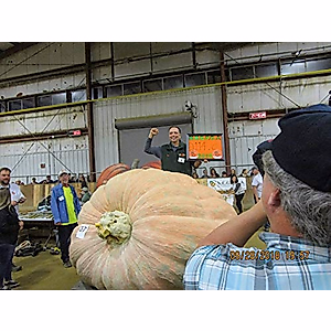 Ron Wallace's Whoppers Giant Pumpkin Seeds (5 Seeds per Package)
