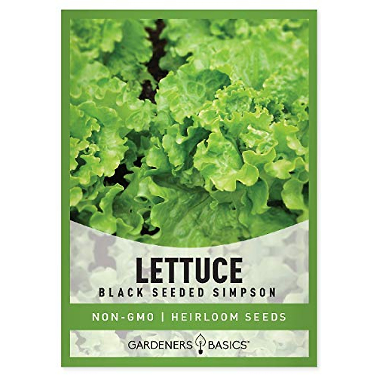 Green Leaf Lettuce Seeds For Planting - (Black Seeded Simpson Variety) Heirloom, Non-GMO Lettuce Variety- 2 Grams Seed Great For Spring, Summer, Fall, Winter Garden and Hydroponics by Gardeners Basics
