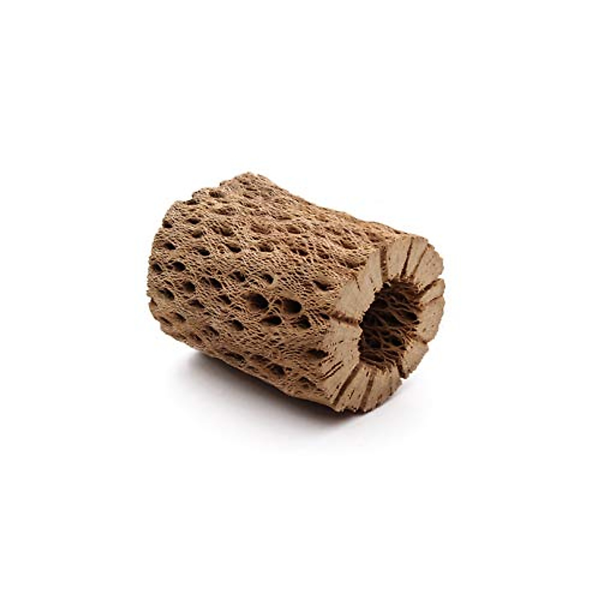 3, 6, 9, 12 Inch All Natural Teddy Bear Cholla Wood Extra Hollow Untreated Organic Aquarium Driftwood Decoration Chew Toy Shrimp Crab Pleco Cichlid Nano Tank Birds 1 or 5 Pieces (1 Piece, 3 inch)