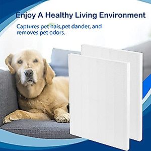 Fizerneer 115115 Size 21 Replacement Filter A Compatible with Winix C535 C909, Winix PlasmaWave 5300, 6300, 5300-2, 6300-2, P300 Plasma wave Air Purifier, True HEPA Filter Only 4 Pack