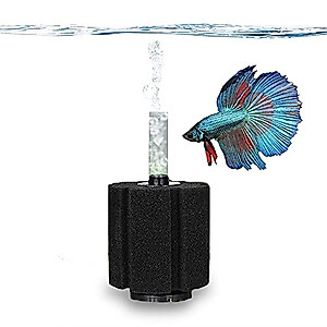 SunGrow 10-Gallon Betta Sponge Filter, Underwater Center Aquarium Filter, Attach it to Air Pump (Not Included) to Run, Works for Tropical Fish & Breeder Aquarium, Perfect for Fry & Small Fish