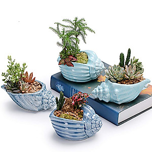 SUN-E 5.5 Inch Blue Conch Ocean Series Ceramic Base Serial Set Succulent Plant Pot Cactus Plant Pot Flower Pot Container Planter with Drainage Hole Gift Idea 4 in Set(Plants Not Included)