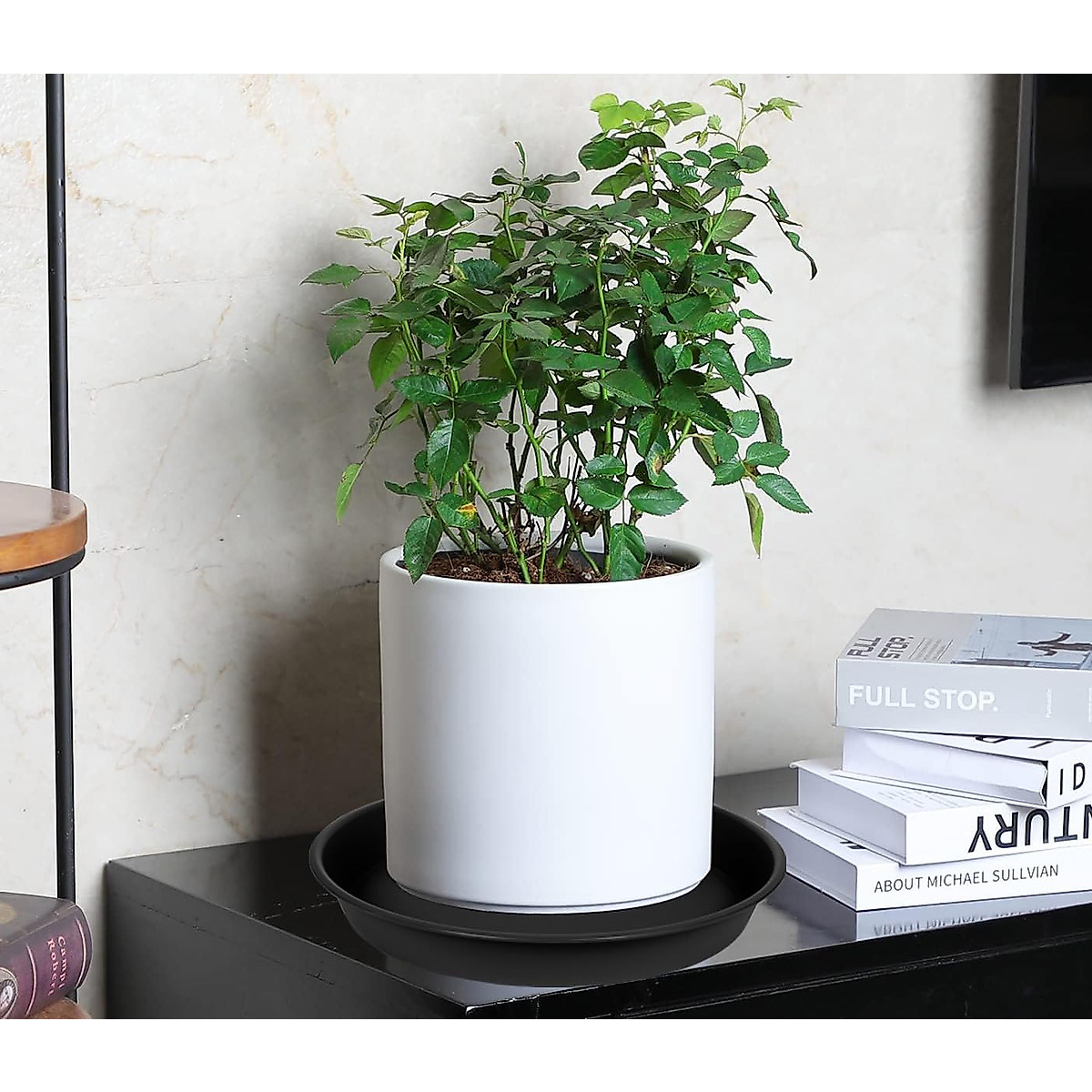 Angde 2 Pack of Plant Saucer 14 inch, Plastic Plant Saucers 14" Round, Flower Trays for Indoors Outdoor, Plant Drip Trays for Pots, Plant Water Tray for Planter 13-15" (14", Black)