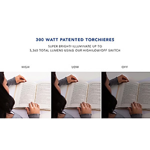 Adesso 5120-22 Metropolis 300W Torchiere, Floor Lamp, Chrome Finish