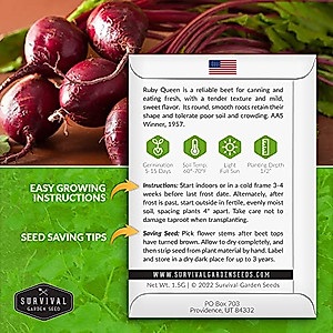Survival Garden Seeds - Ruby Queen Beet Seed for Planting - Packet with Instructions to Plant and Grow Sweet Delicious & Nutritious Red Beets in Your Home Vegetable Garden - Non-GMO Heirloom Variety