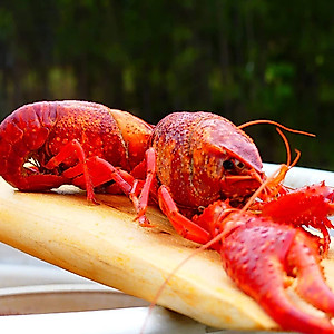 Bayou Classic 1001, 35-in Wooden Cajun Stir Paddle