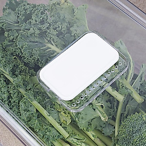 GREENTEC Fridge Organizer, Stackable Storage Container, Refrigerator Drawer, Pull Out Organization Bin for Kitchen, Closet, Sliding Freezer Organizer, Large, BPA Free