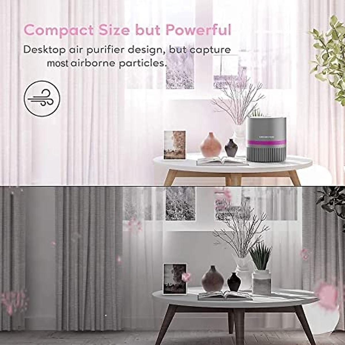 MEGAWISE True H13 HEPA Air Purifier for Home Bedroom Small Room Office, 3-IN-1 Filtration Air Cleaner for Smoke, Dust, Pet Dander, 100% Ozone Free, Available for California