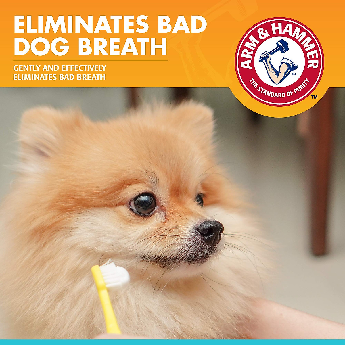 Arm & Hammer for Pets Clinical Care Dental Enzymatic Toothpaste for Dogs | Soothes Inflamed Gums | Safe for Puppies | Fresh Breath Vanilla Ginger - 72 Pack