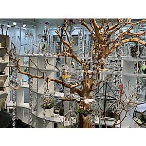 WGV Hanging Terrarium Globe, Width 8", Height 9", DIY Air Succulent Planter, Clear Glass Vase Orb with Flat Bottom, Candle Holder for Windowsill Outdoor Garden Decor, 6 Pieces Bulk