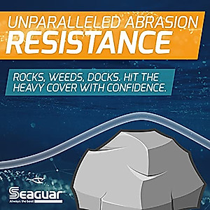 Seaguar 10AX200 Abrazx Freshwater Fluorocarbon Line, .010" Diameter, 10 Lb Tested, 200 yd, Clear