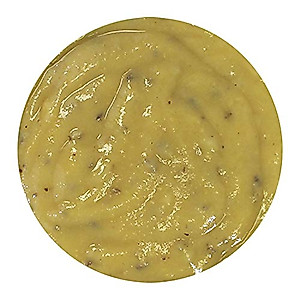 Exotic Nutrition Sugar Glider HPW Diet Jar - High Protein Healthy Natural No Mess Food for Sugar Gliders - High Protein Wombaroo Diet (Original)