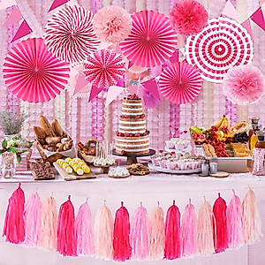 Cmaone Hotpink Party Decorations Pink Girls Paper Fan Birthday Baby Shower Tissue Pom Poms Streamers Bachelorette Party Supplies Tassel Garland Banner Wedding Decor