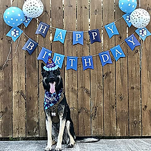 TCBOYING Dog Birthday Bandana, Dog Birthday Boy Hat Scarfs Flag Balloon with Cute Doggie Birthday Party Supplies Decorations(11-Piece Set) (Blue) (Style2, Blue)