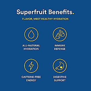 Lemon Perfect - Organic Cold-Pressed Lemon Water - Squeezed from Real Fruit, Flavored Water, Sugar-Free, Keto Certified, No Artificial Ingredients - 6-Flavor Variety Pack (12-pack)