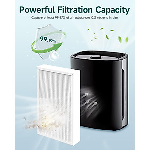 F1 Filter Compatible with 3M Filtrete Air Purifiers FAP-C01BA-G1, FAP-T02WA-G1, Part# FAPF-F1-2P, 2-Pack